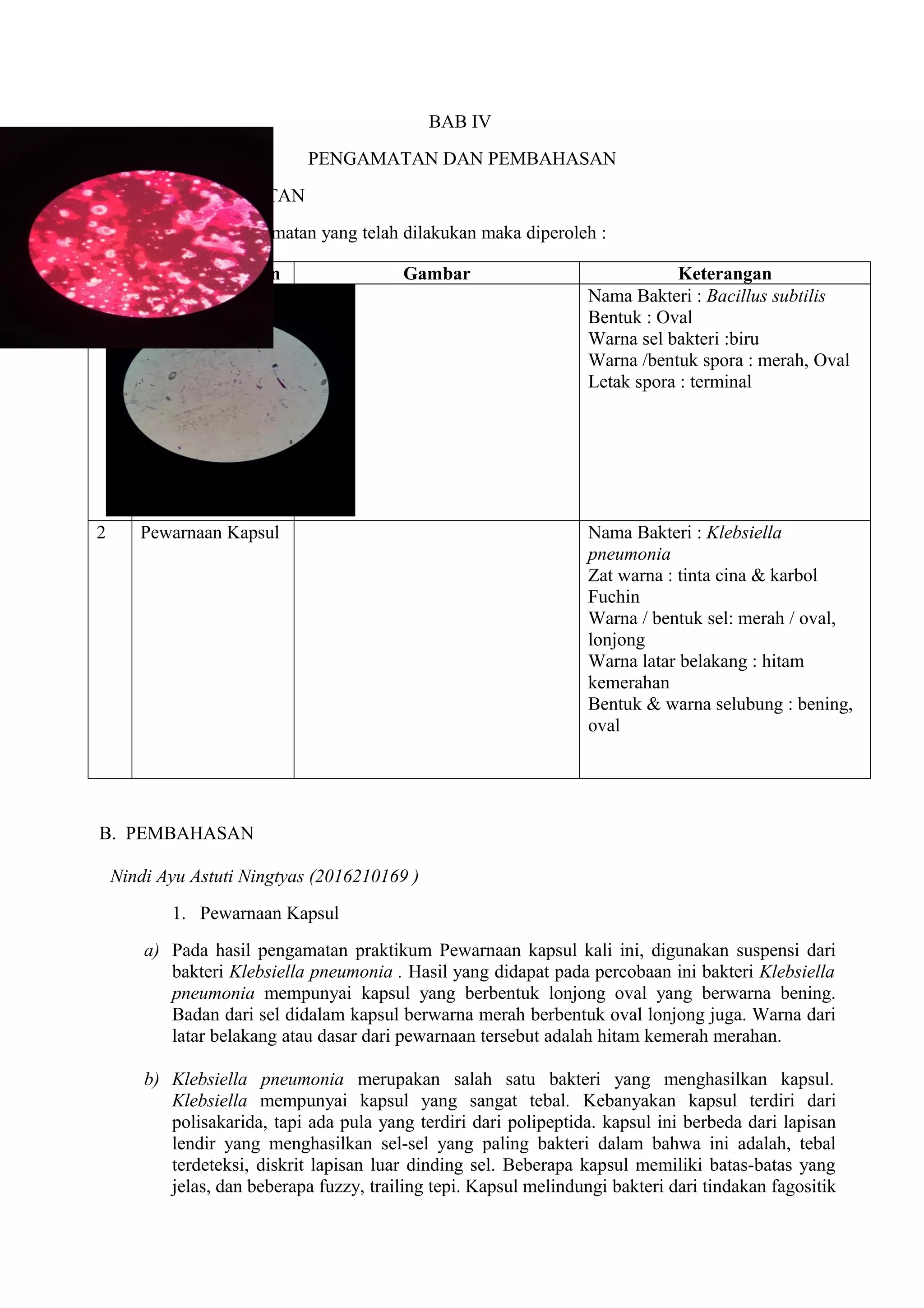 LAPORAN RESMI PRAKTIKUM MIKROBIOLOGI I PEWARNAAN SPORA DAN KAPSUL PADA ...