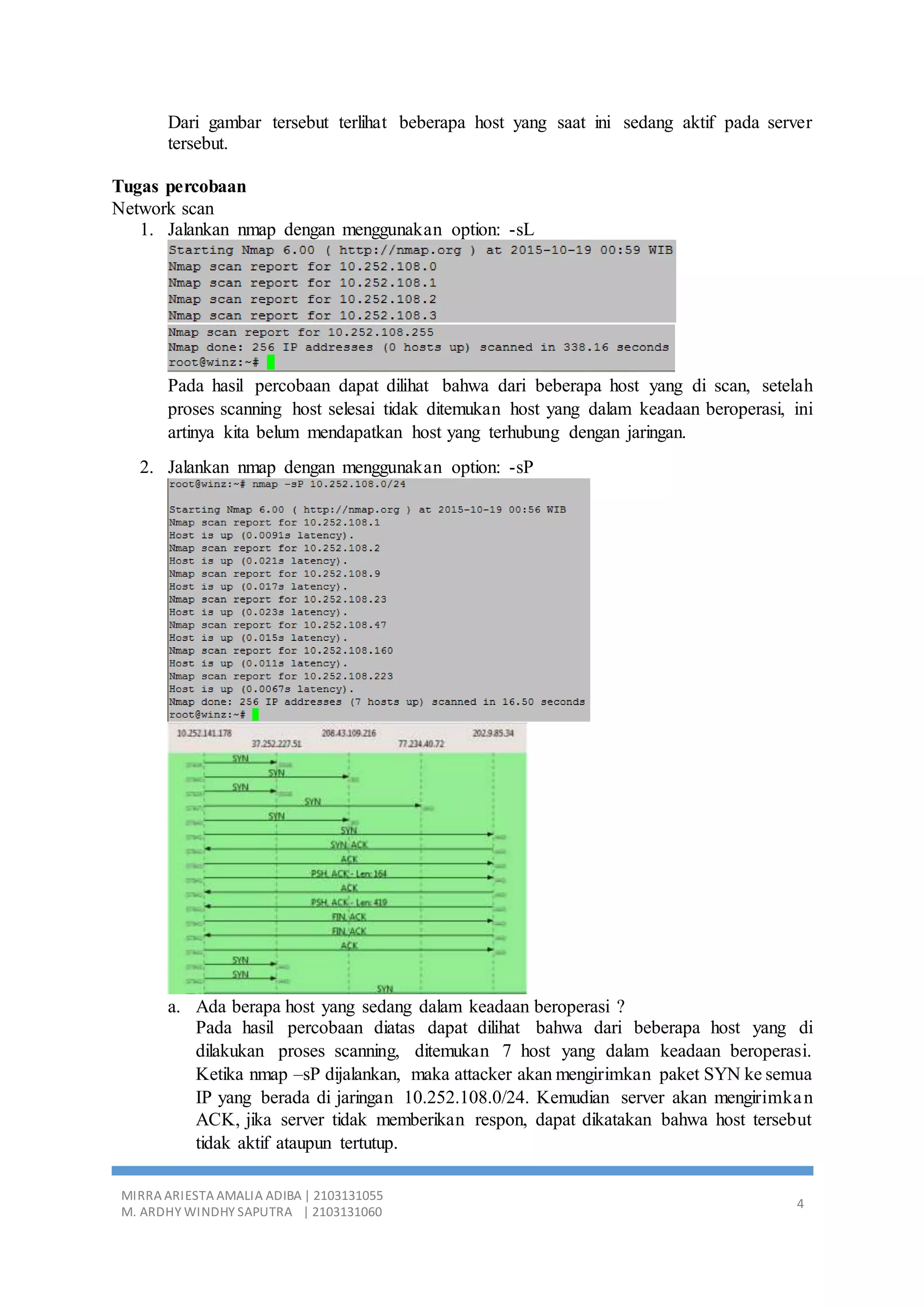 Network Scanner & Network Probing | PDF