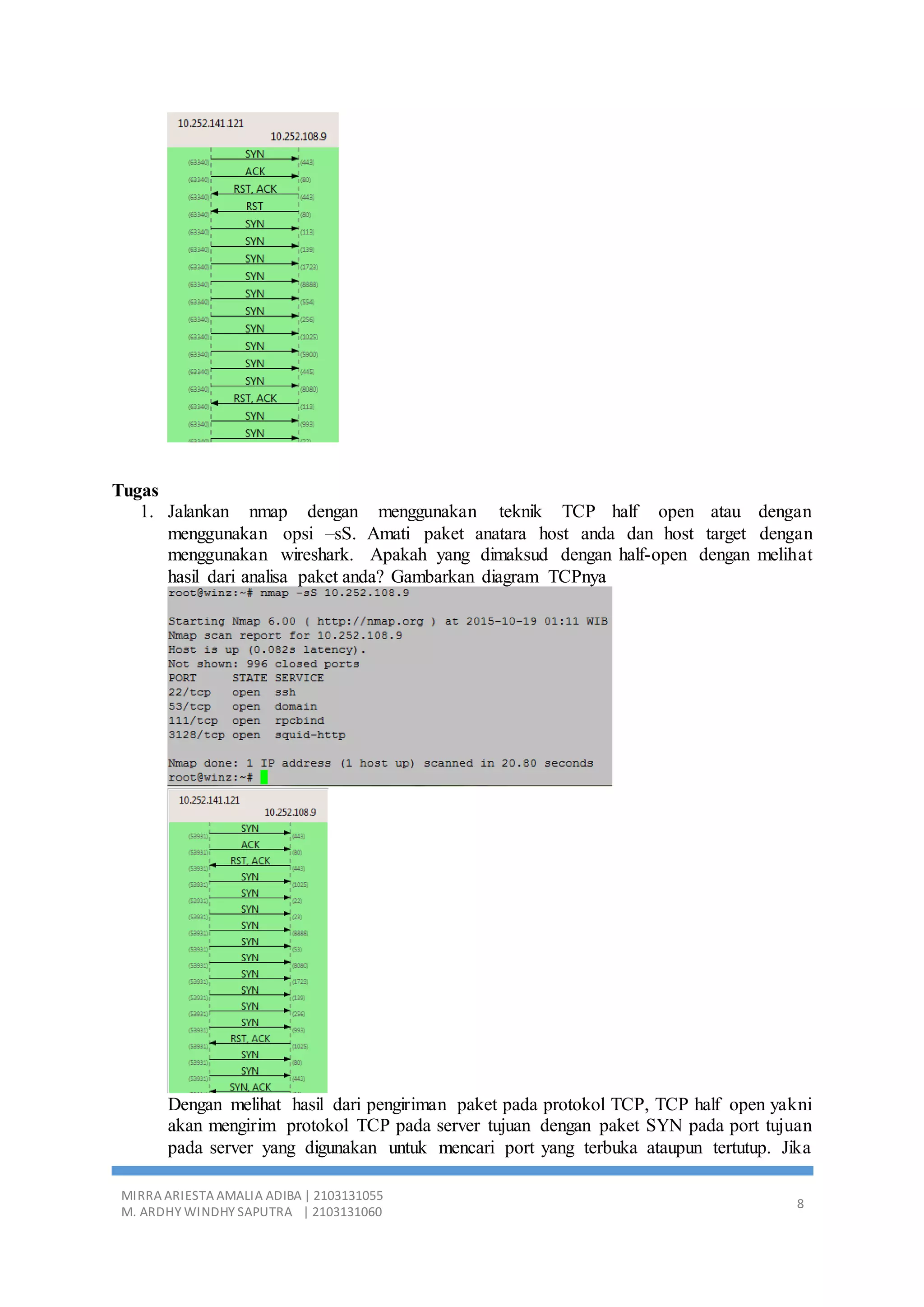 Network Scanner & Network Probing | DOCX