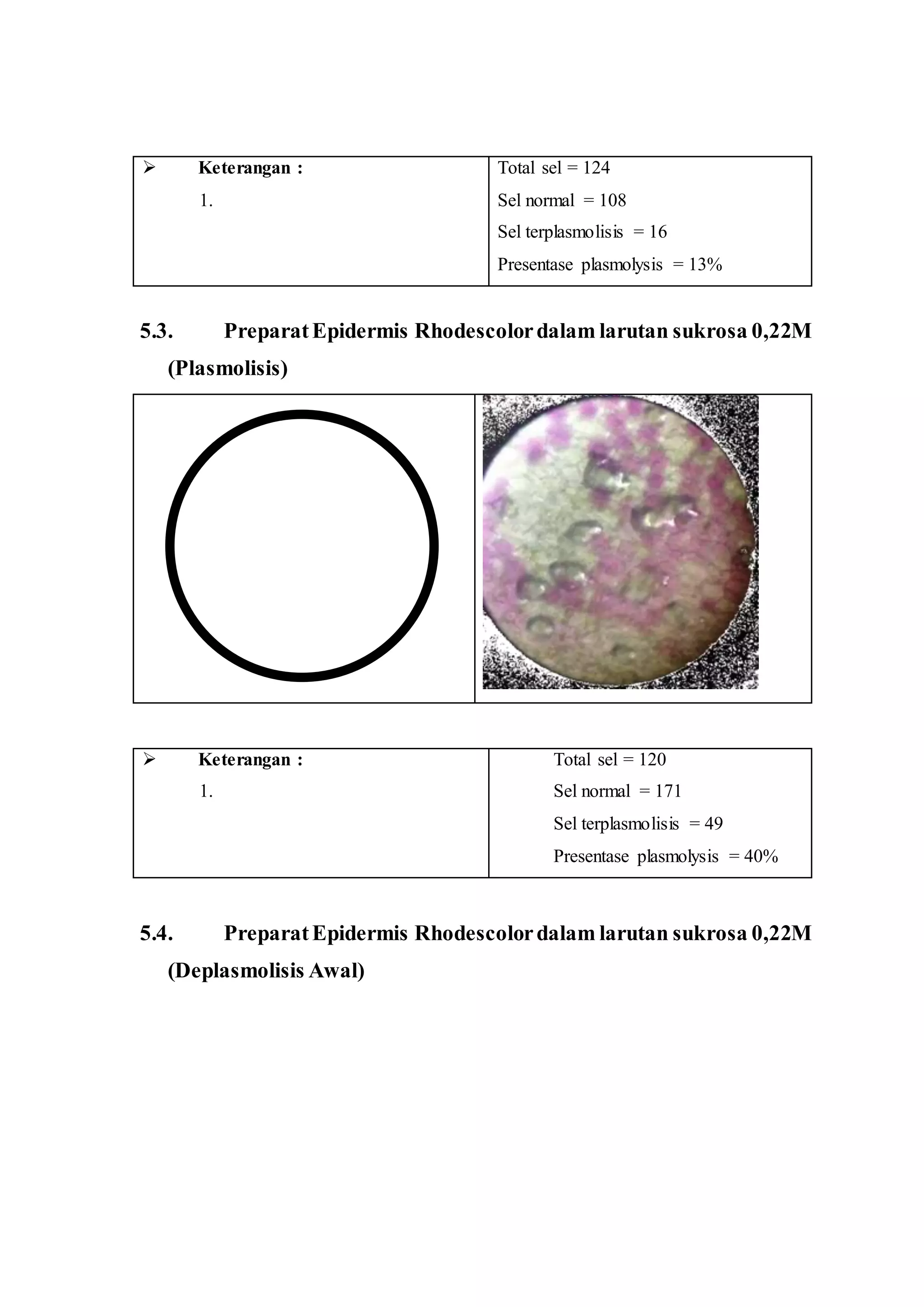 Laporan Resmi Praktikum Biologi Peristiwa Plamolisis dan Deplasmolisis | DOCX