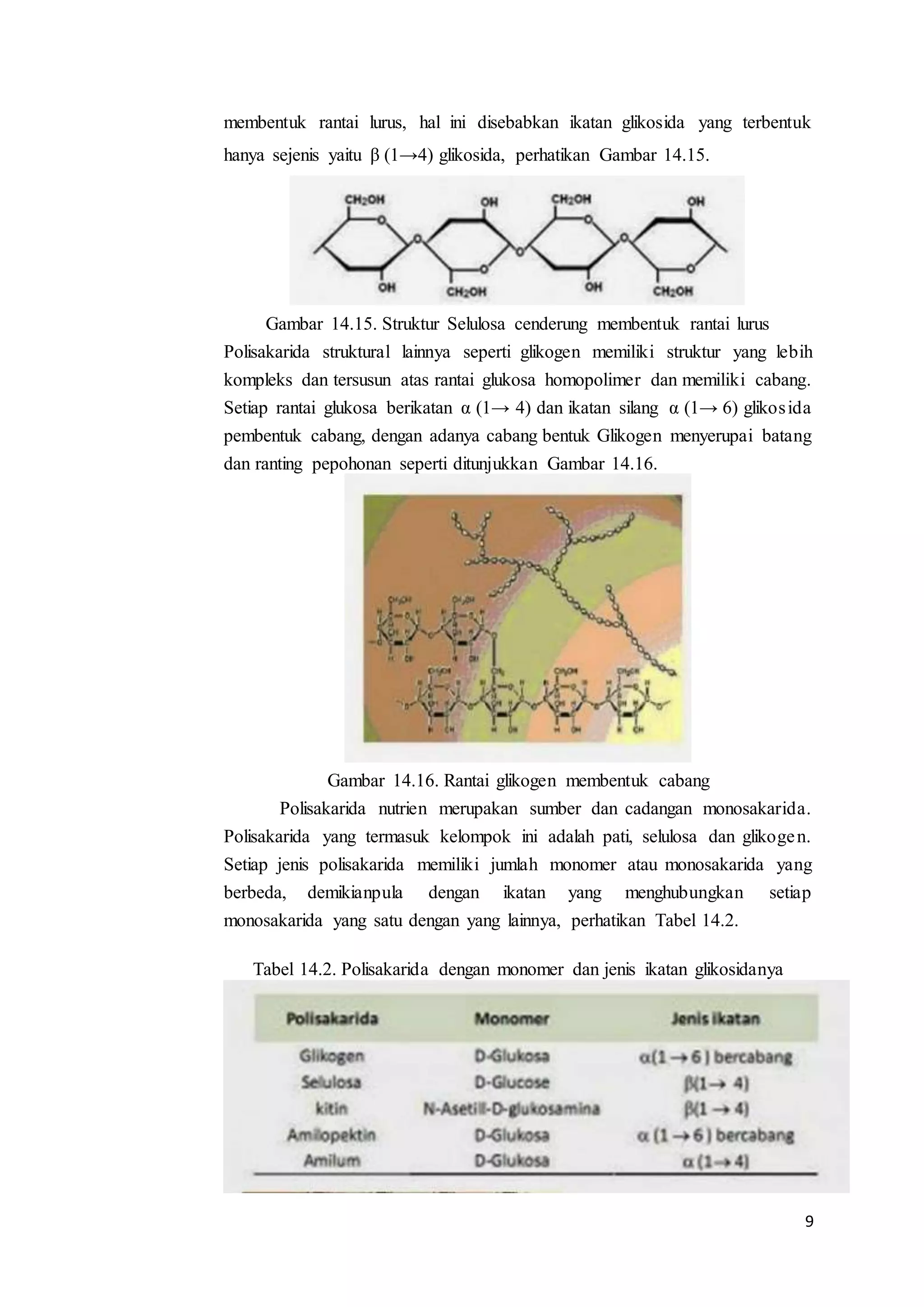 Laporan Resmi Praktikum Biologi Uji Makanan | PDF Laporan Resmi Praktikum Biologi Uji Makanan | PDF