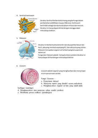 Laporan sel hewan | PDF