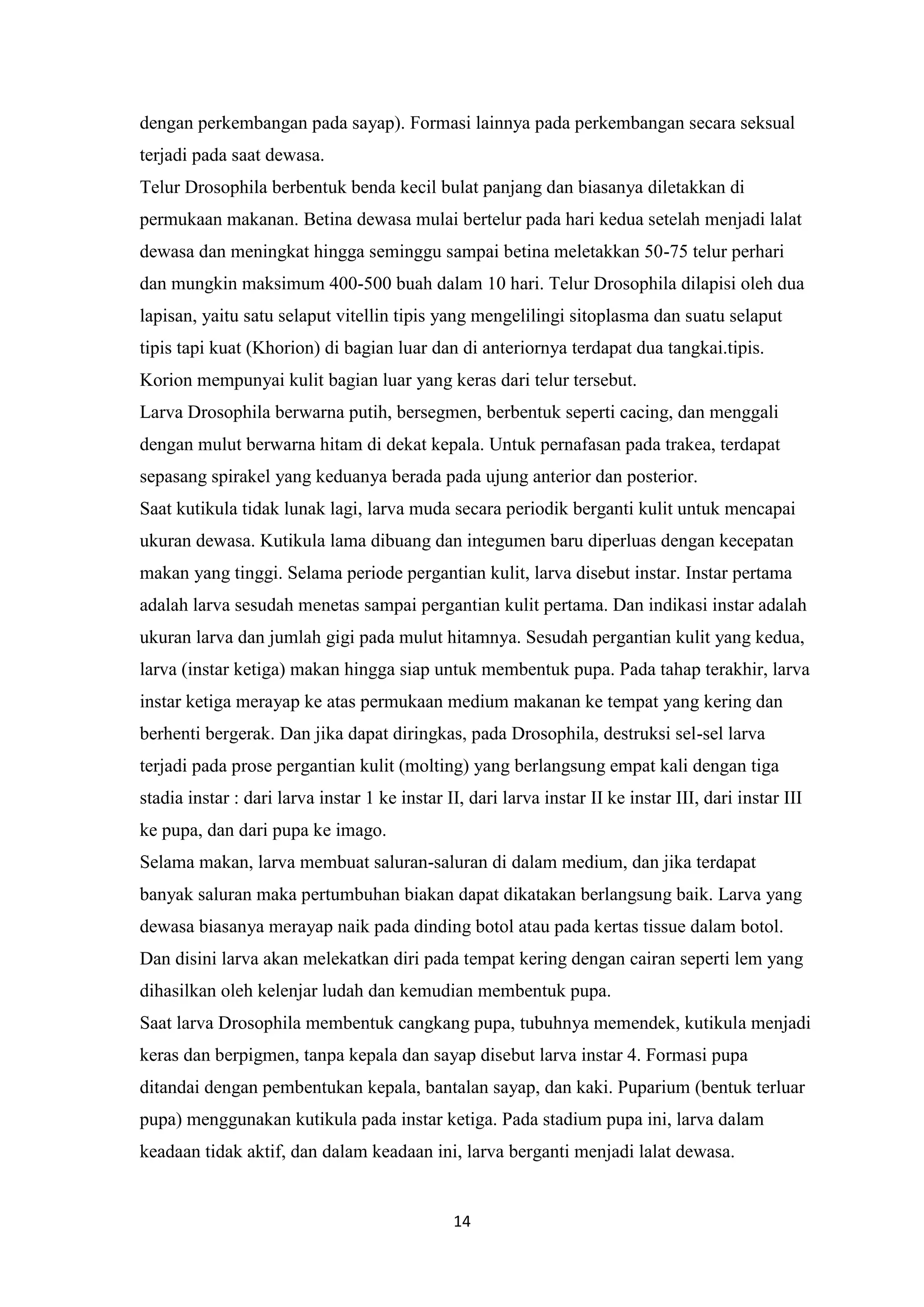 Laporan siklus hidup lalat buah " DROSOPHILA MELANOGASTER | PDF