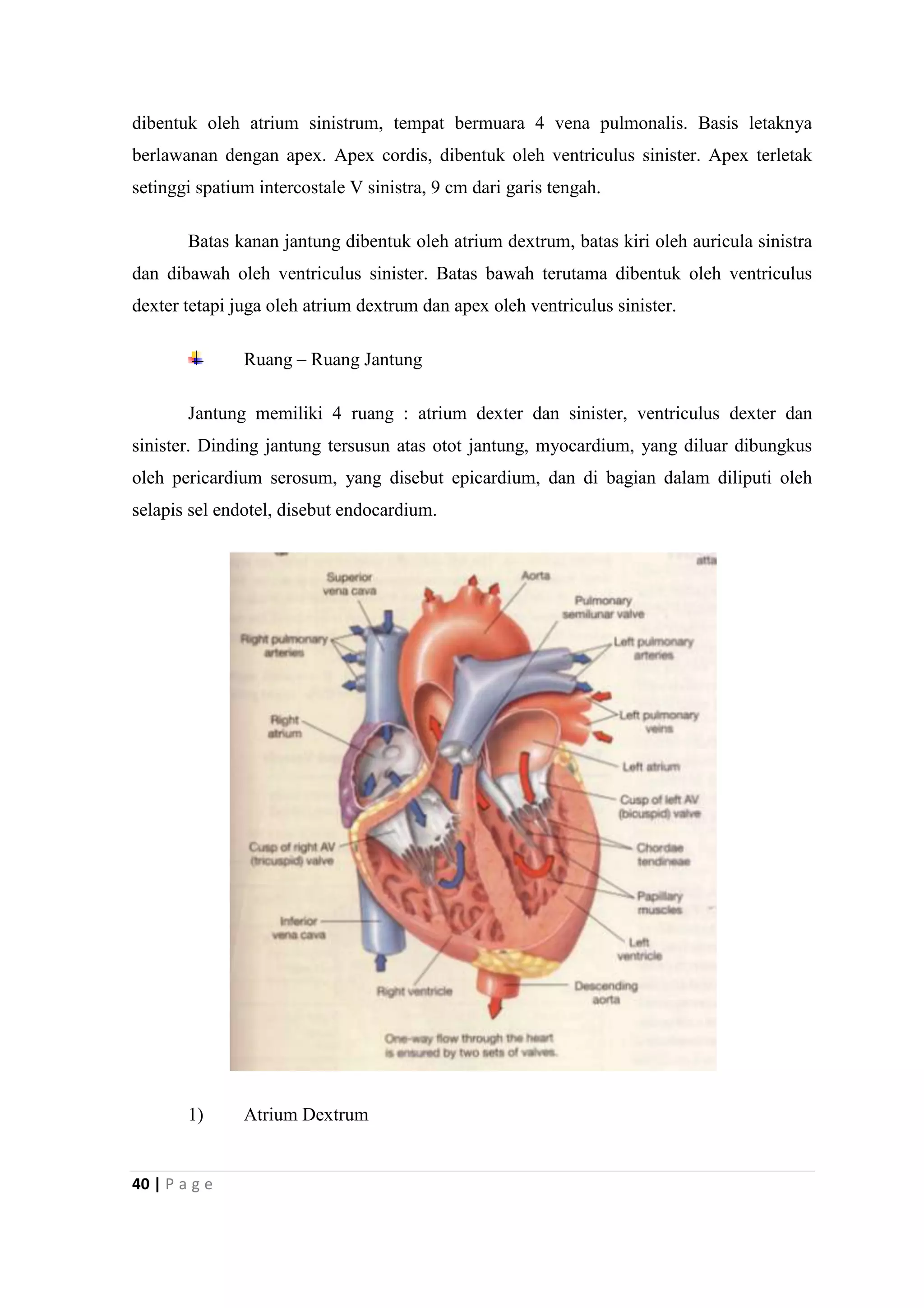 Laporan skenario b blok 7 (Hipoksia) | PDF