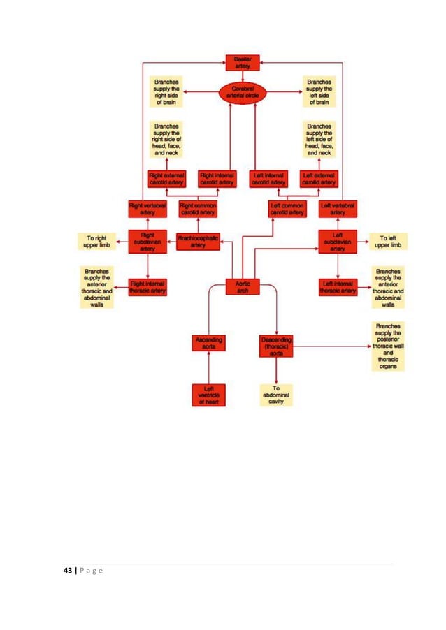 Laporan skenario b blok 7 (Hipoksia) | PDF