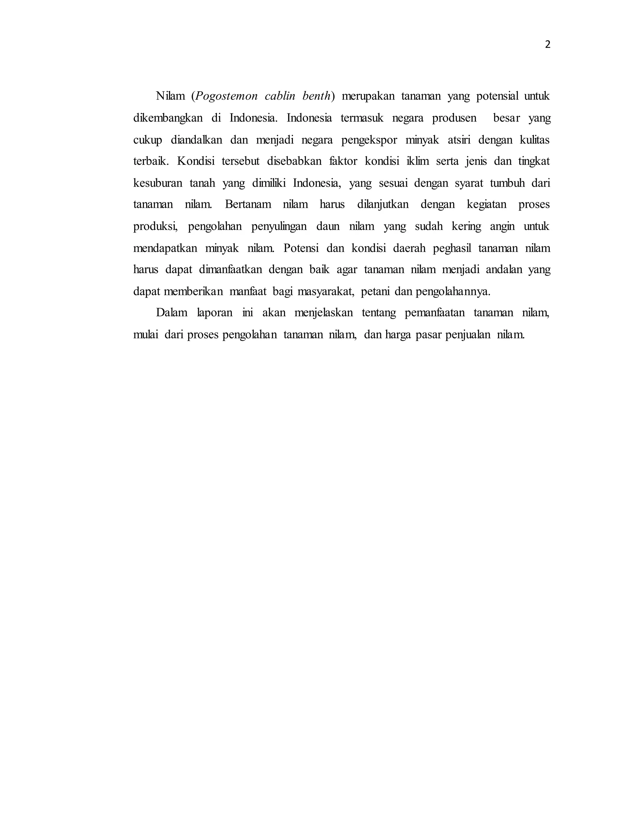 Laporan Tanaman Nilam Docx