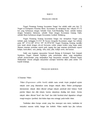 Laporan Tanaman Nilam Docx