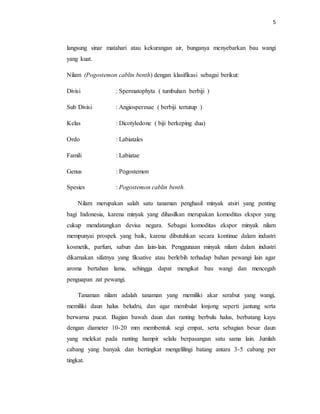 Laporan Tanaman Nilam Docx