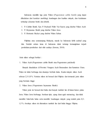 Laporan Tanaman Nilam Docx