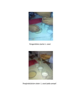 Laporan tetap mikrobiologi tentang pembuatan vco | PDF