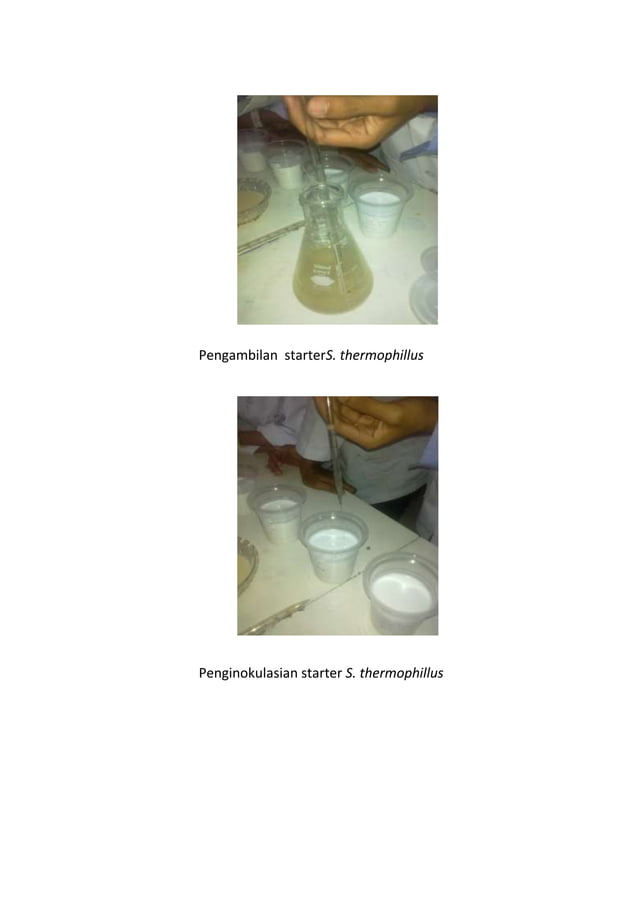 Laporan tetap mikrobiologi tentang pembuatan vco | PDF