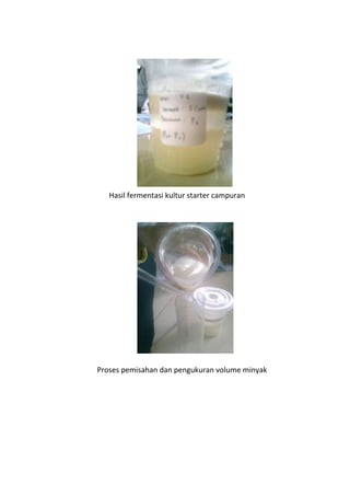 Laporan tetap mikrobiologi tentang pembuatan vco | PDF