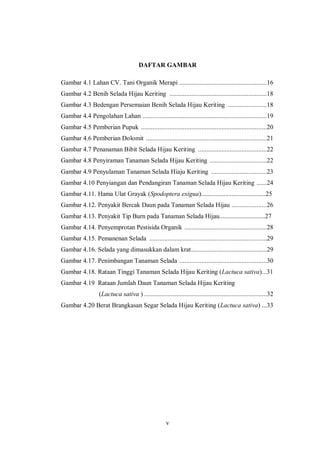 Laporan tugas akhir. usaha tani budidaya tanaman selada hijau keriting ...