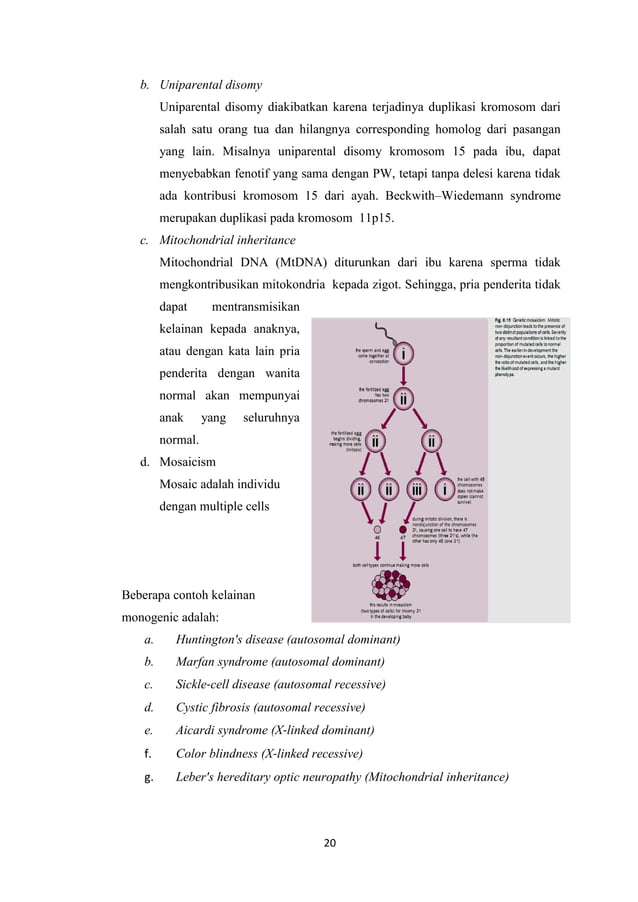 Laporan Tutorial Skenario A Blok 4 (Sindrom Turner) | PDF