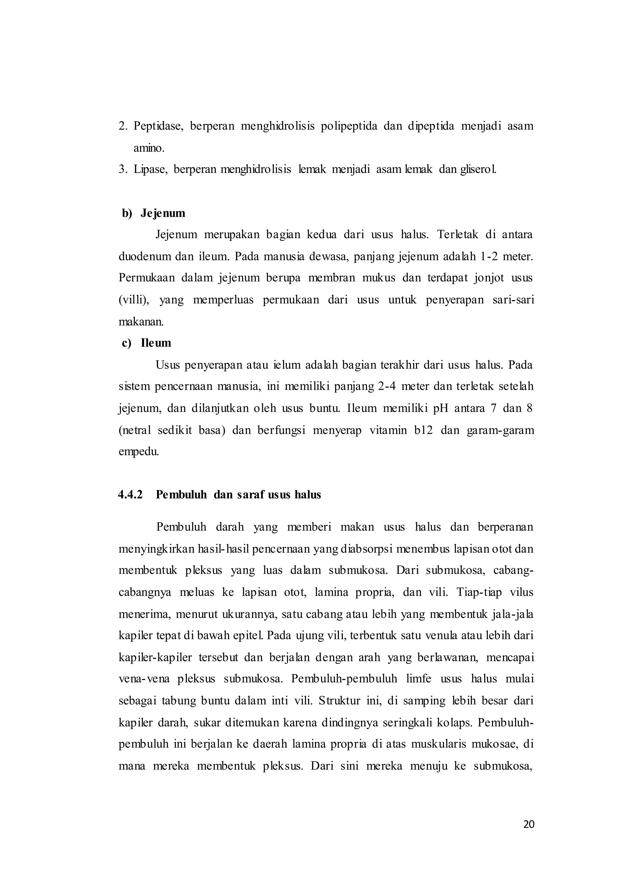Laporan tutorial fisiologi sistem pencernaan | DOCX
