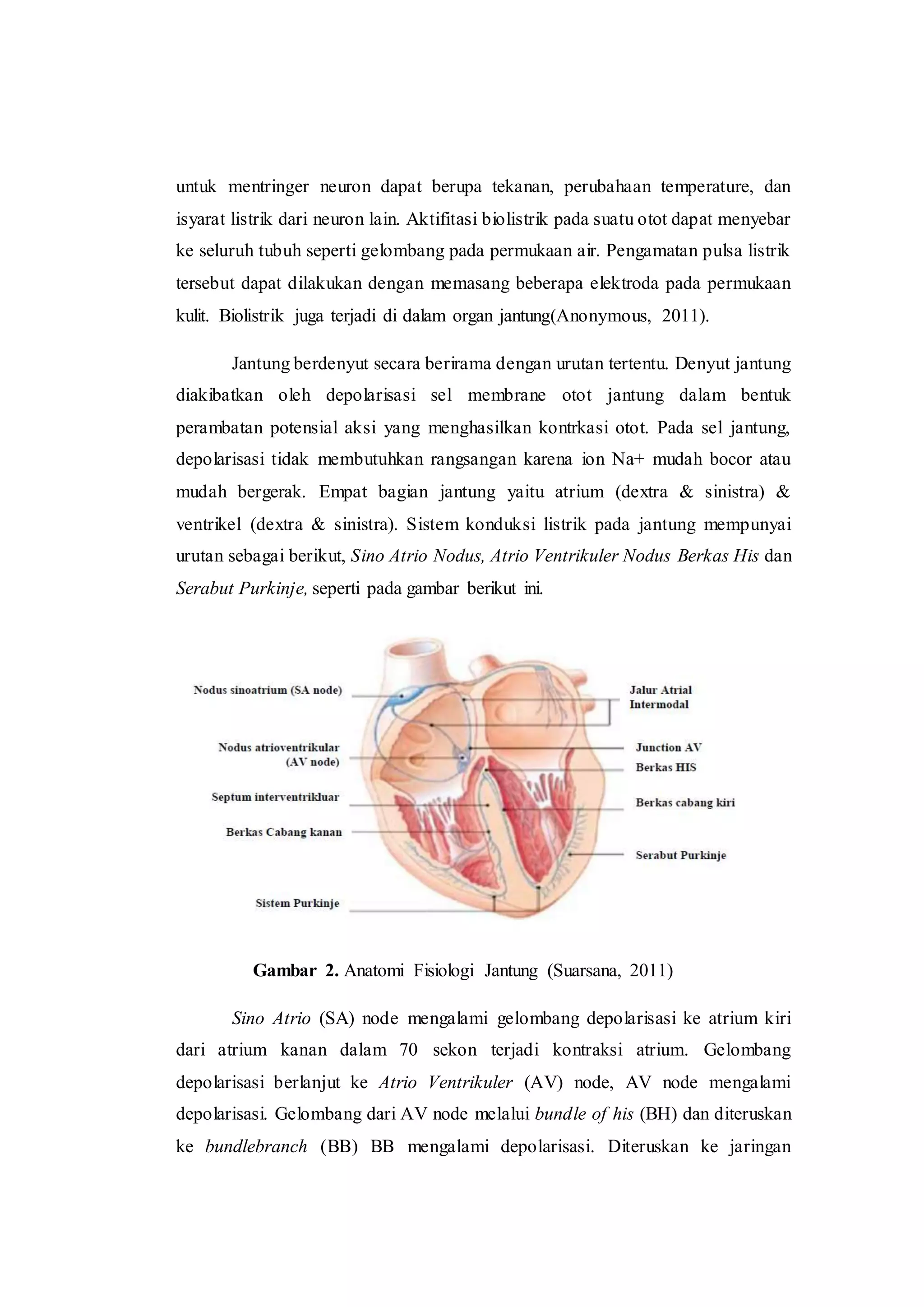 Laporan tutorial sistem cardiovascular | DOCX