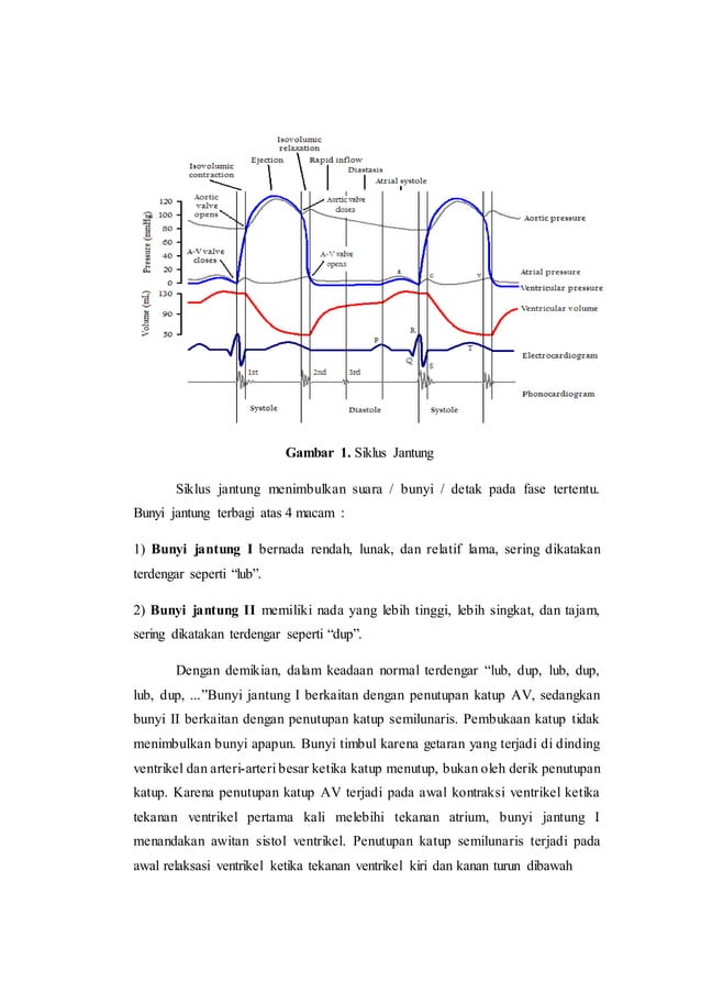 Laporan tutorial sistem cardiovascular | DOCX