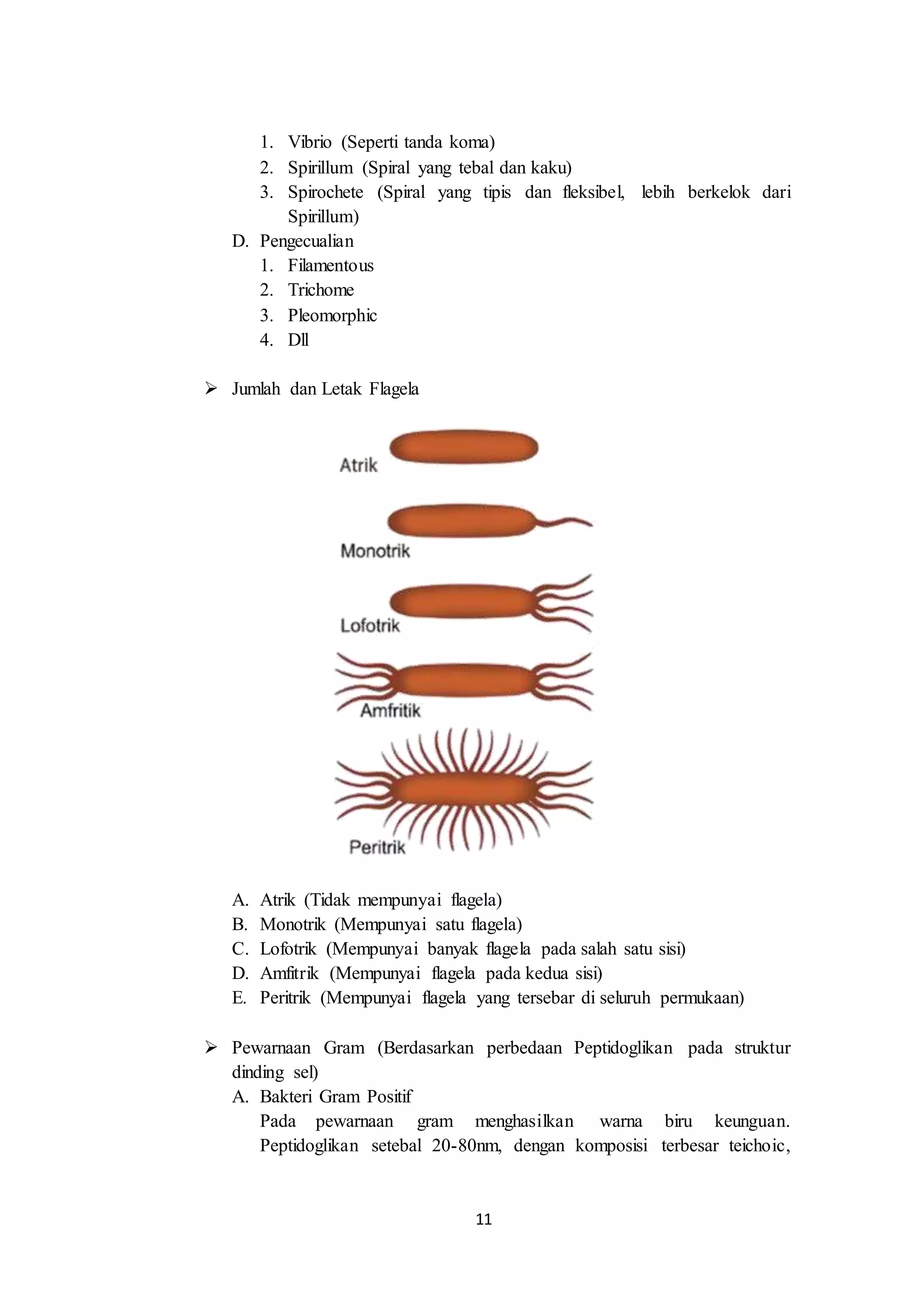 Laporan Tutorial (Bakteri, Infeksi dan Inflamasi) | DOCX