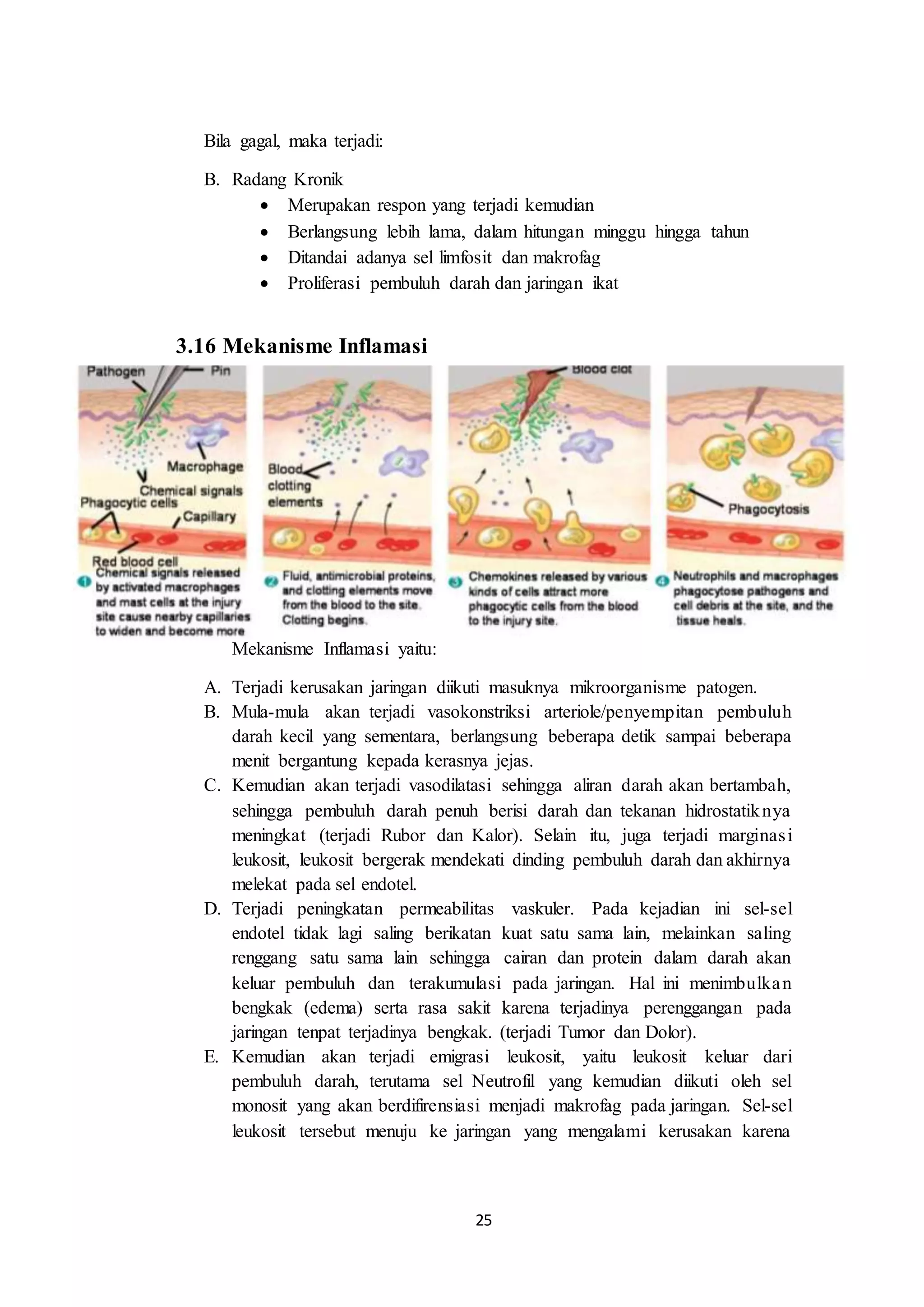 Laporan Tutorial (Bakteri, Infeksi dan Inflamasi) | DOCX