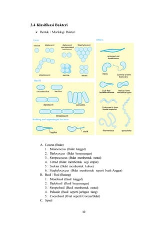 Laporan Tutorial (Bakteri, Infeksi dan Inflamasi) | DOCX