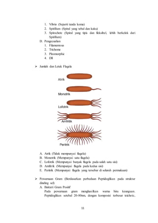 Laporan Tutorial (Bakteri, Infeksi dan Inflamasi) | DOCX