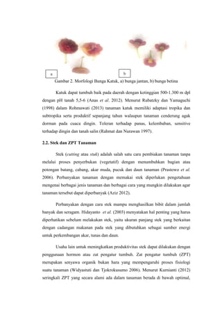 Laporan vegetatif tanaman katuk | PDF