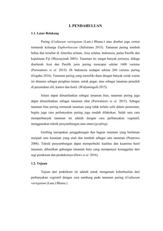 Laporan vegetatif tanaman puring | PDF