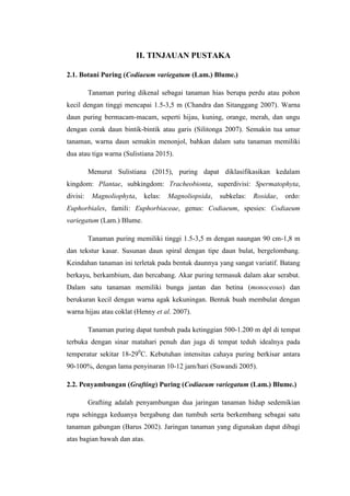 Laporan vegetatif tanaman puring | PDF