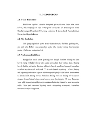 Laporan vegetatif tanaman puring | PDF