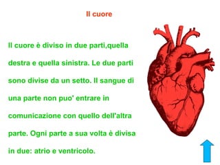 L’apparato circolatorio | PPT