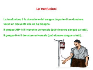 L’apparato circolatorio | PPT | Blood Disorders | Diseases and Conditions