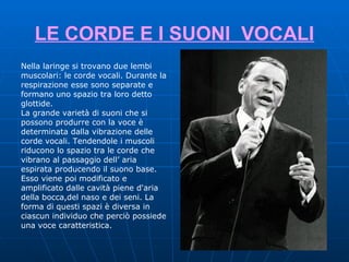 L'apparato respiratorio - didattica differenziata | PPT