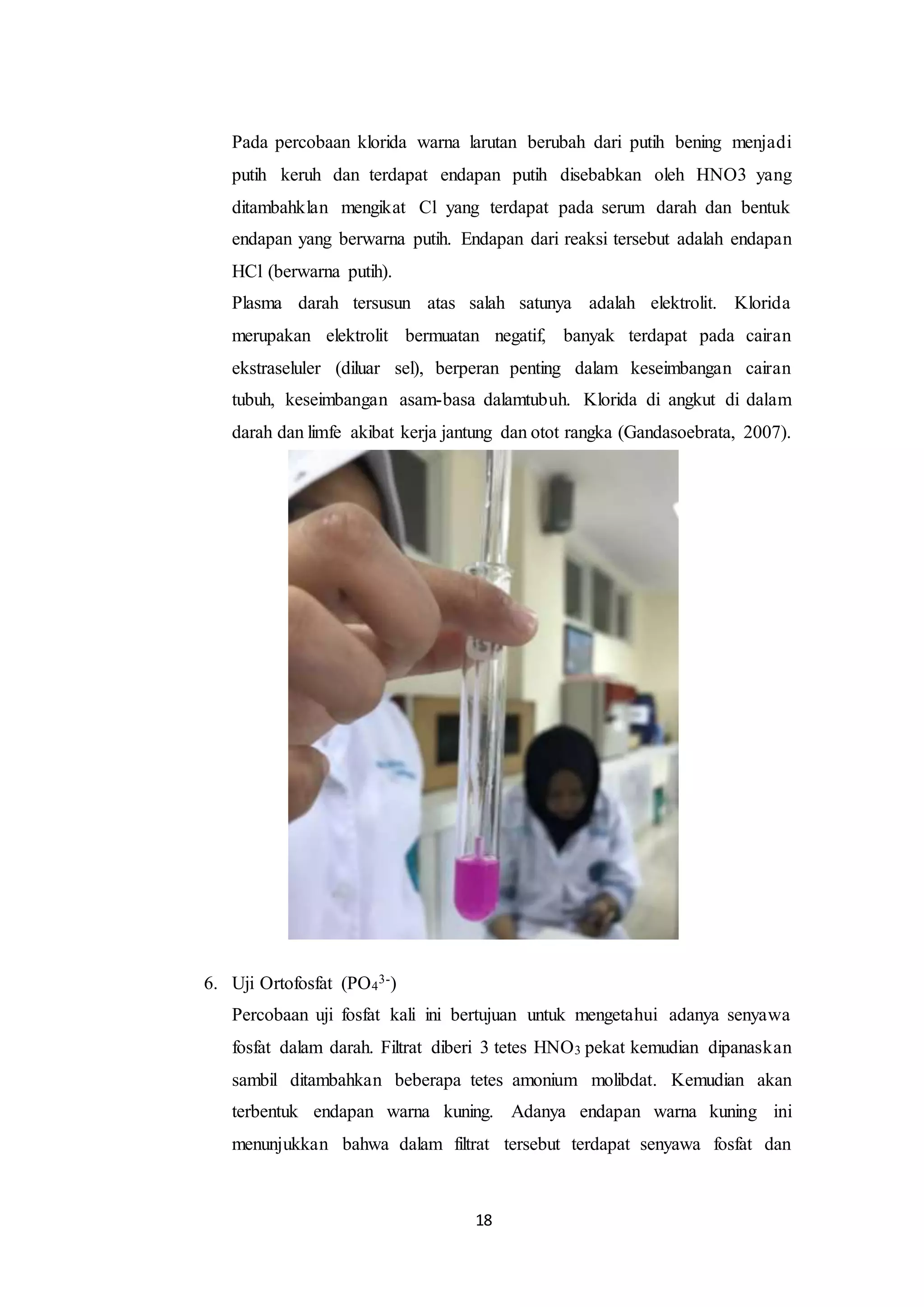 Laporan Praktikum Biokimia Darah dan Pemeriksaan Kandungan Senyawa ...
