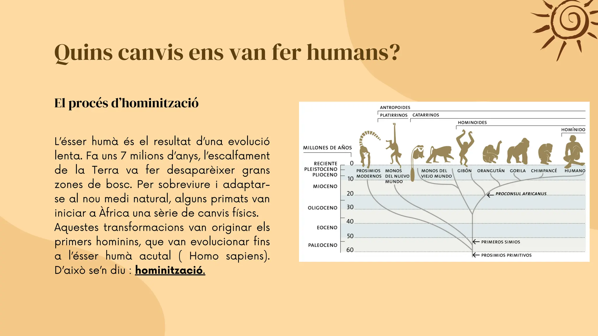 La Prehistòria. Etapas, características. | PDF