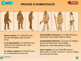 La prehistòria | PPT