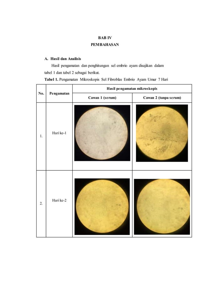 Laporan Praktikum Kultur Jaringan Hewan: Kultur Sel Embrio Ayam ...