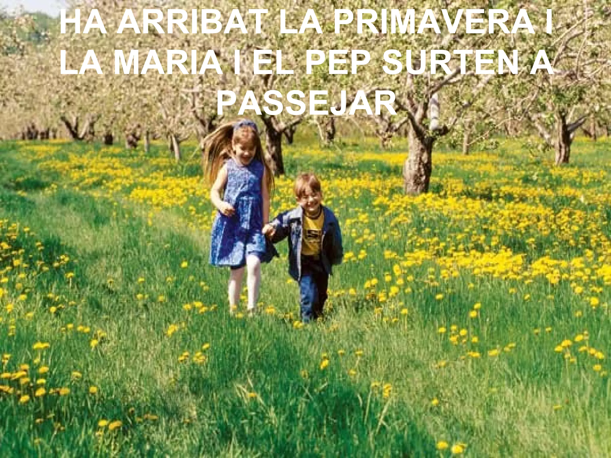 La primavera | PPT