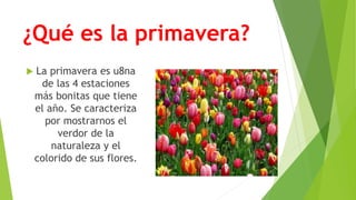 LA PRIMAVERA.pptx