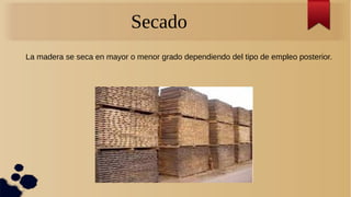 La produccion de la madera | ODP