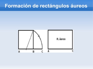 Grupo 3: La razón áurea en rectángulos | ODP