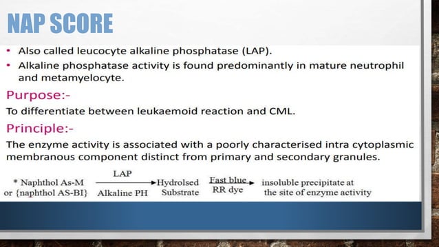 Lap score | PPTX | Blood Disorders | Diseases and Conditions
