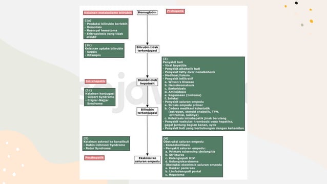 Lapsus_Choledocolithiasis + Cholesistitis_Syahda Nabilla Aristawidya.pptx