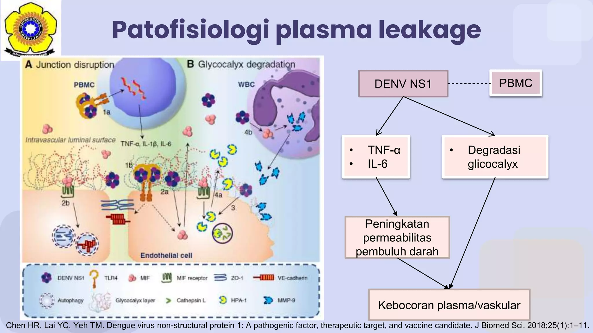 Lapsus DBD Onewood dr. Mira.pptx