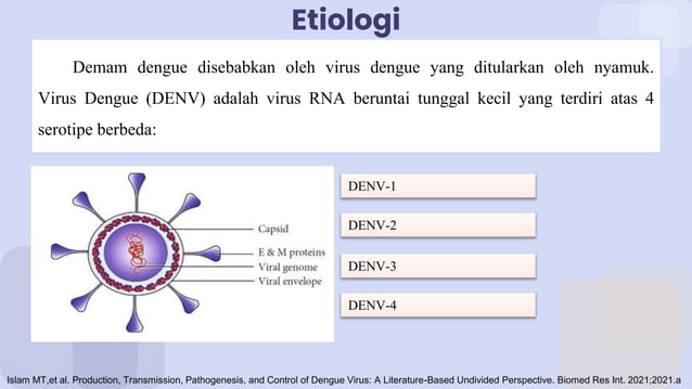 Lapsus DBD Onewood dr. Mira.pptx