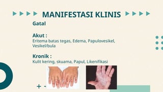 Dermatitis Kontak Alergi dermatovenerologi.pptx