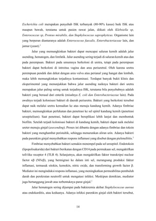 Lapsus 1 kasus I Putu Gunung Cystitis.pdf