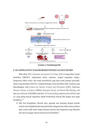 Lapsus 1 kasus I Putu Gunung Cystitis.pdf