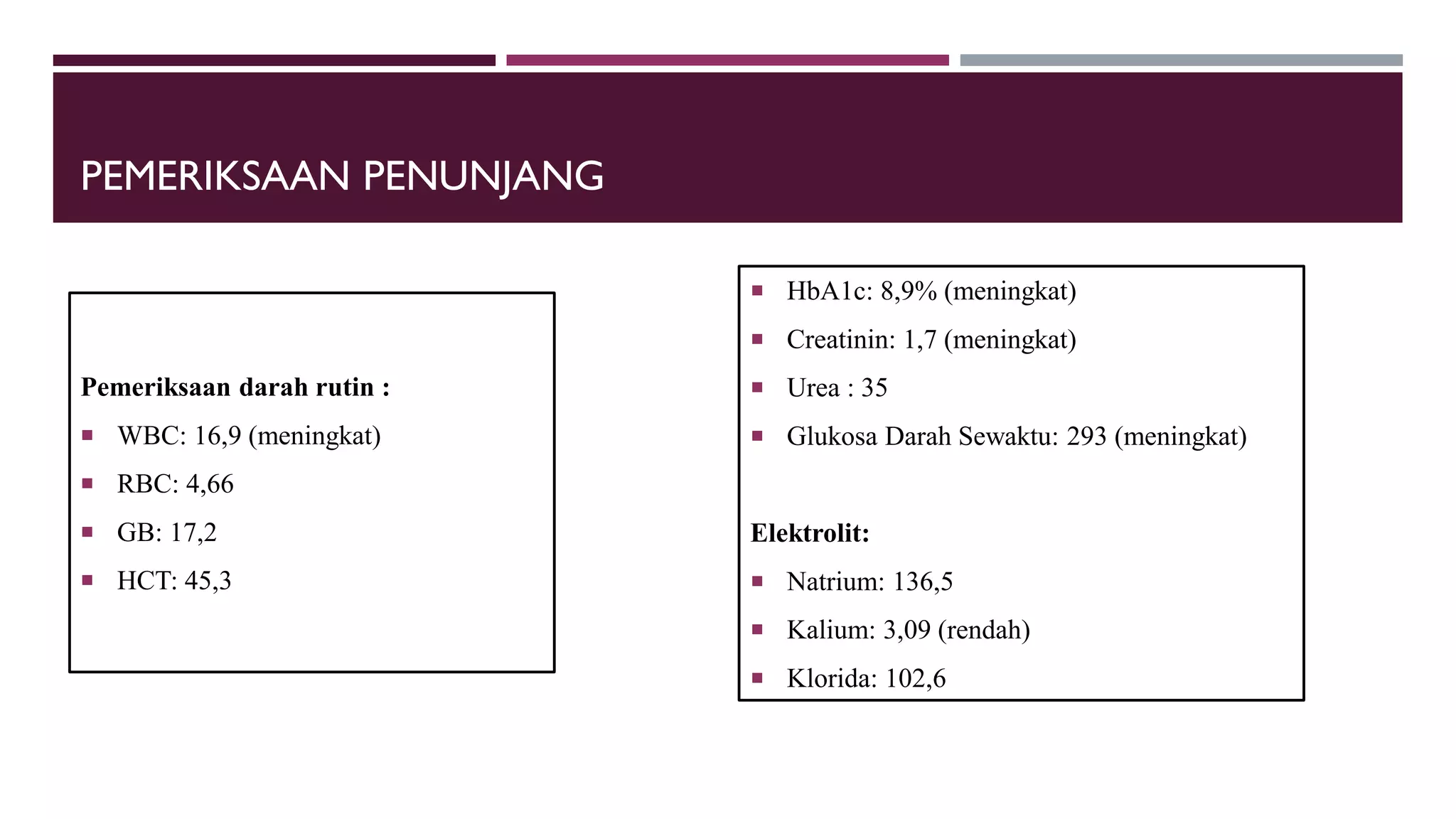Kesadaran Menurun ec Hemoragik Stroke | PDF