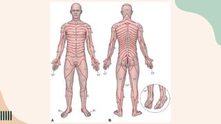 Lapsus Riski ppt WITH DELAYY INFORM .pdf.pptx