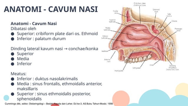Lapsus risyay SINUSITIS -2.pptx nnnnnnnnn | PPT